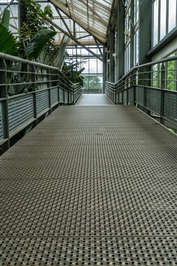 Ramp in green house plants stock photo. Image of physical - 81006846