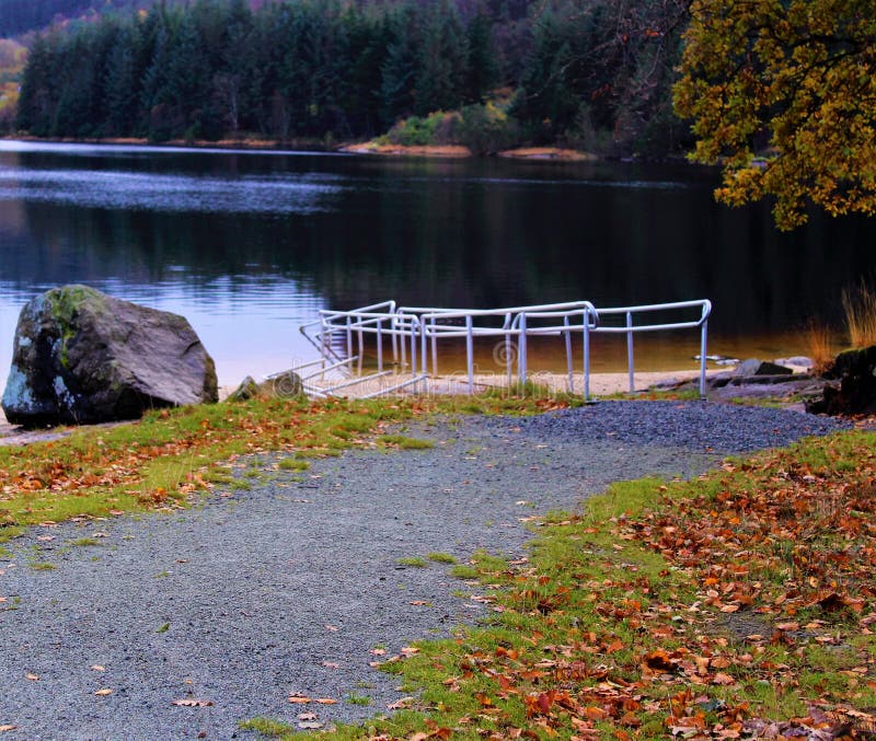 Ramp stock photo. Image of stands, nice, forest, colors - 79761066