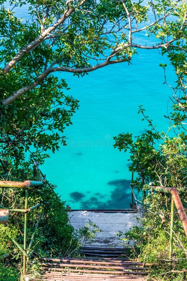 Ramp between Trees stock image. Image of coast, nature - 42363557