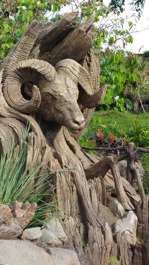 Rams head stock photo. Image of farm, rural, animal, curved - 6239222