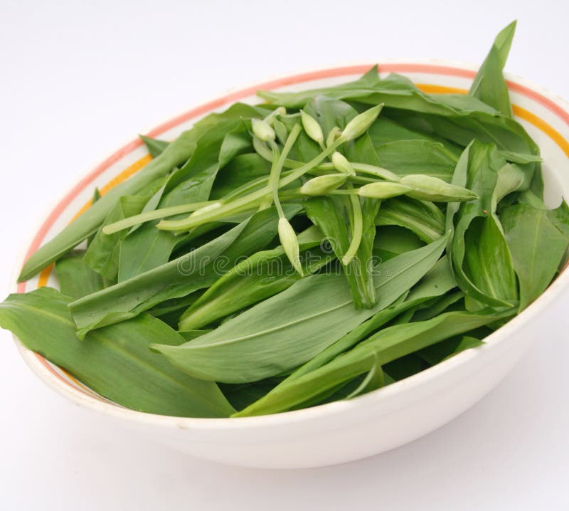 Ramson stock image. Image of healthy, leak, fresh, flowers - 8989547