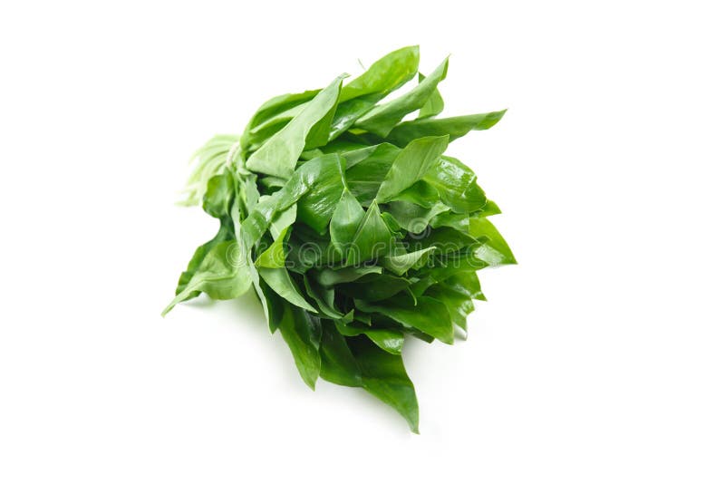 Ramson Bunch Vegetable Isolated on White Background with Full Depth of ...