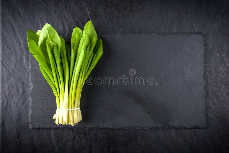Ramsons on bboard stock image. Image of black, garlic - 88587933