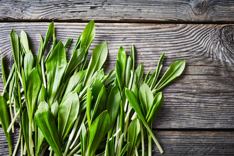 Ramsons, Wild Garlic on a Wooden Table Stock Image - Image of spring ...