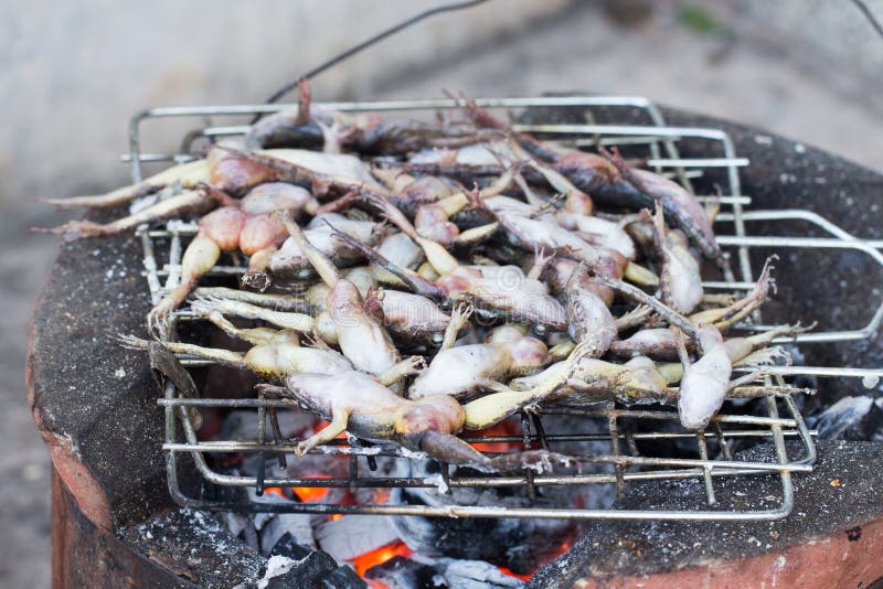 Tajada De La Rana Para Cocinar Una Comida Foto de archivo - Imagen de ...