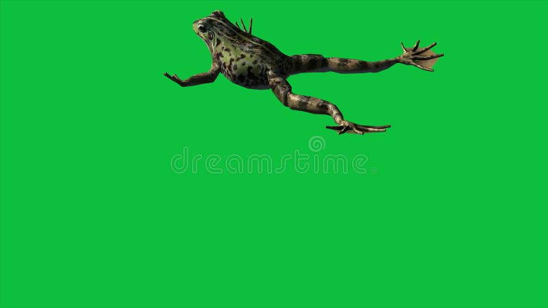 La Rana Come, Camina Y Salta - La Pantalla Verde Almacen De Video ...