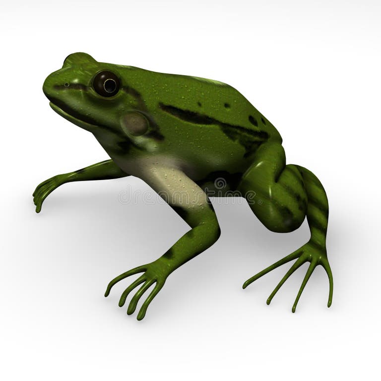 Rana Stock Illustrations – 751 Rana Stock Illustrations, Vectors ...