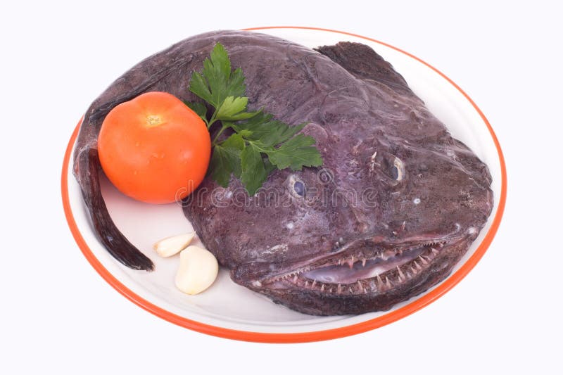 Rana Pescatrice, Pesce Orribile Fotografia Stock - Immagine di angler ...