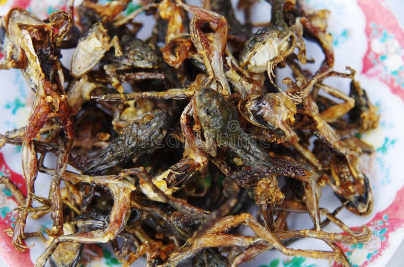 Ranas Fritas, Comida Deliciosa Imagen de archivo - Imagen de frito ...