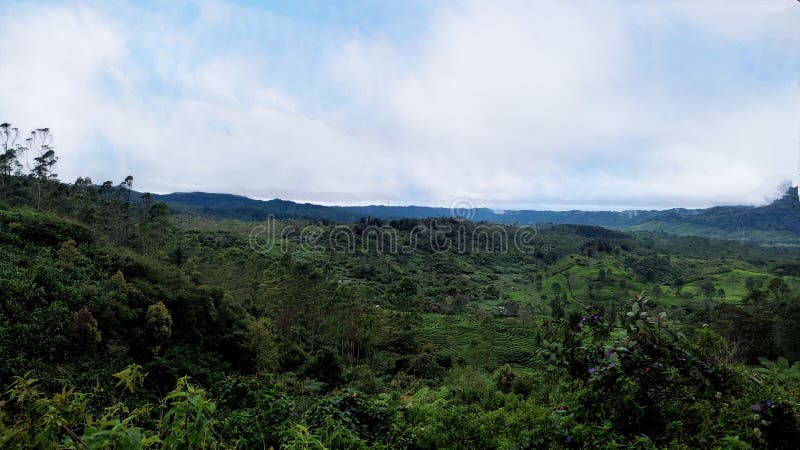 Rancabali, kab. Bandung stock image. Image of hill, grass - 265255577
