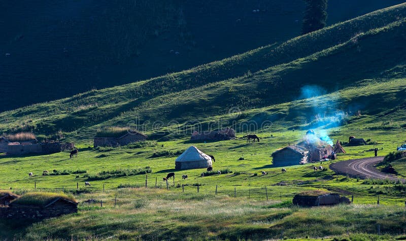 Ranch stock image. Image of cattle, mountains, morning - 18621555