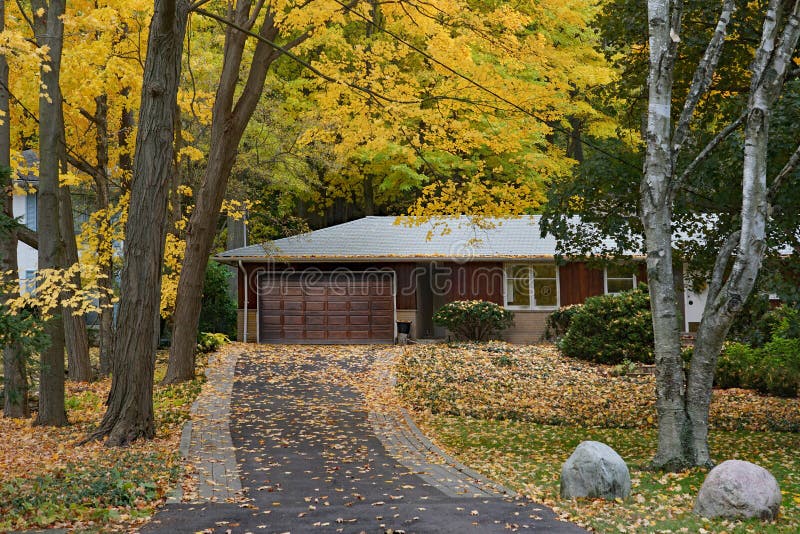 Ranch Bungalow Surrounded by Trees Stock Photo - Image of home, autumn ...