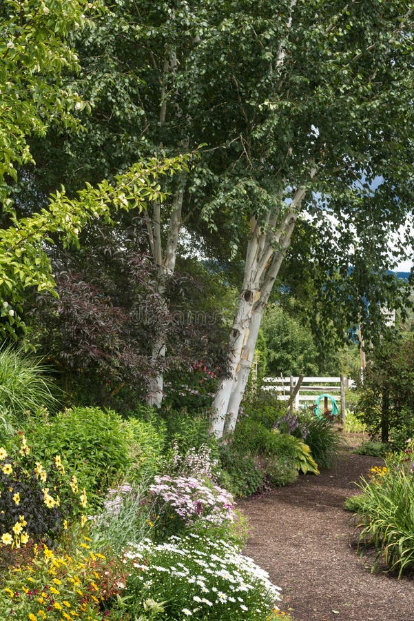 Ranch Garden Path stock photo. Image of perennial, walkway - 74478638