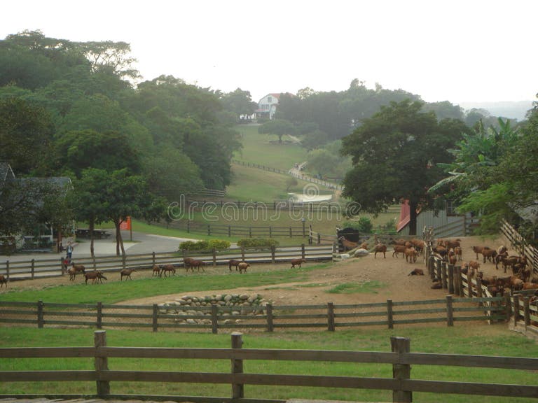 Ranch landscape stock photo. Image of horse, ranch, poultry - 4706414
