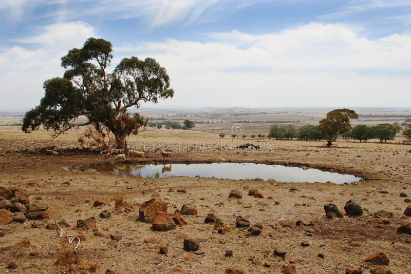Ranch Landscape Southern Australia Stock Photo - Image of vast, stoney ...