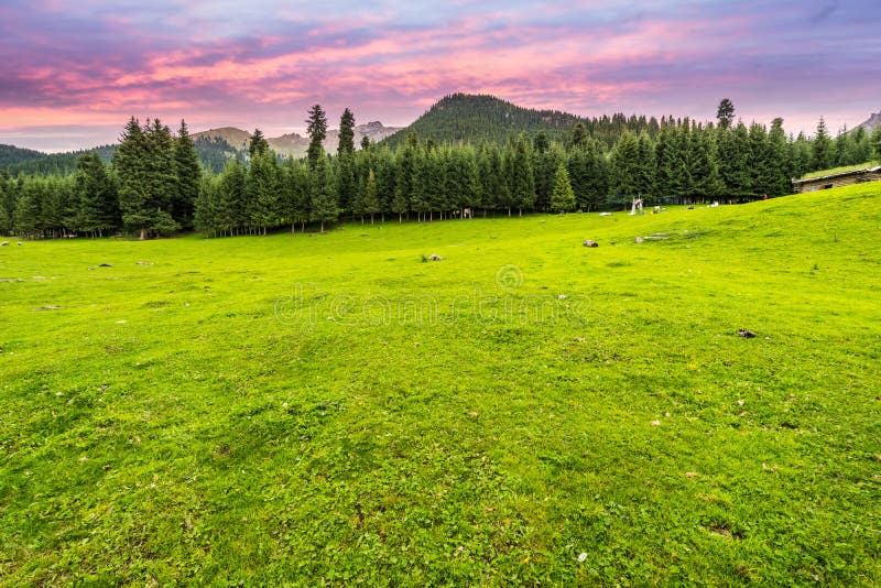 Ranch in the valley stock photo. Image of outdoor, trees - 127655430