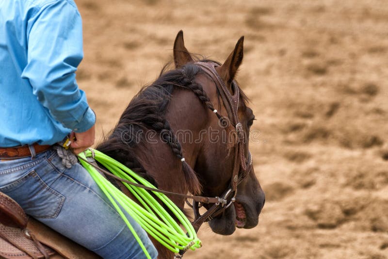 Rancher on horse stock photo. Image of horse, ride, competition - 152088436