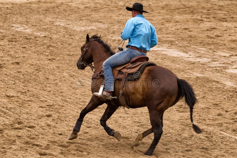 Rancher on horse editorial photography. Image of horse - 152088452