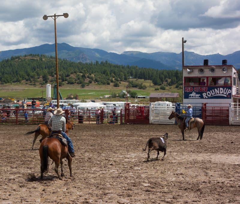 Rancheros Que Compiten En Un Rodeo En Colorado Foto de archivo ...