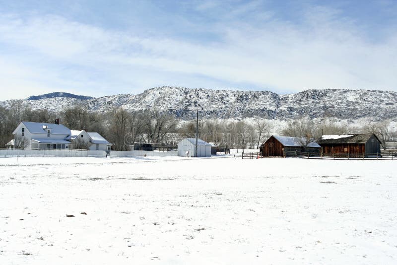 Snowy Ranch and Horses stock photo. Image of snowing, winter - 7780420