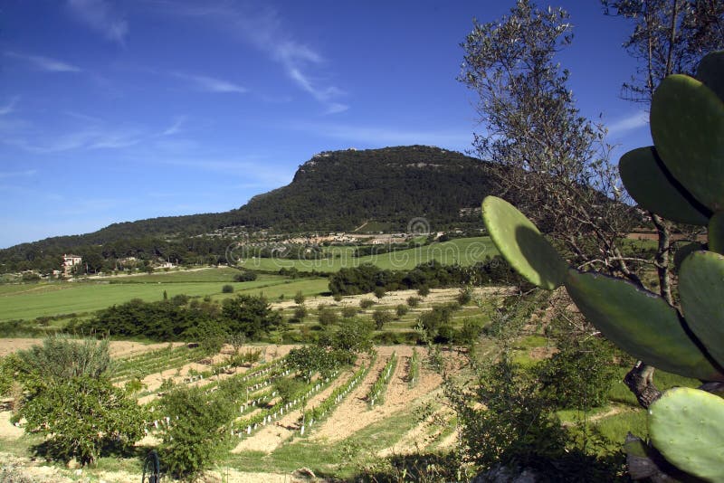 Coves Del Drach , Mallorca , Spain Stock Image - Image of speleology ...