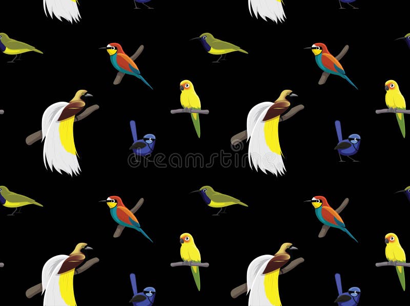 Bird Sunbird Set Cartoon Vector Illustration Stock Vector ...