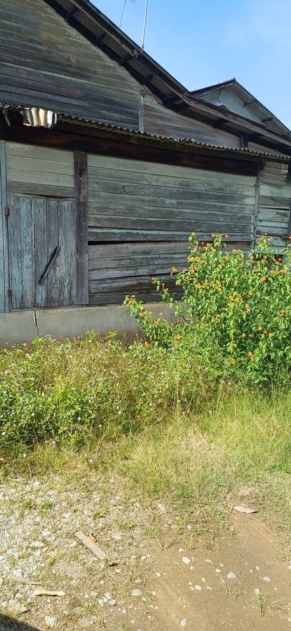 Random backyard stock photo. Image of garden, autumn - 379222554