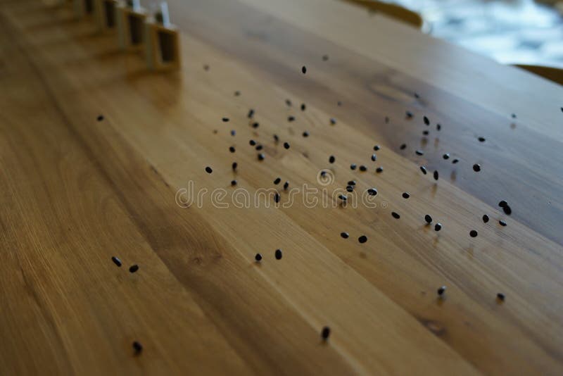 Random beans jumping table stock image. Image of black - 104157755