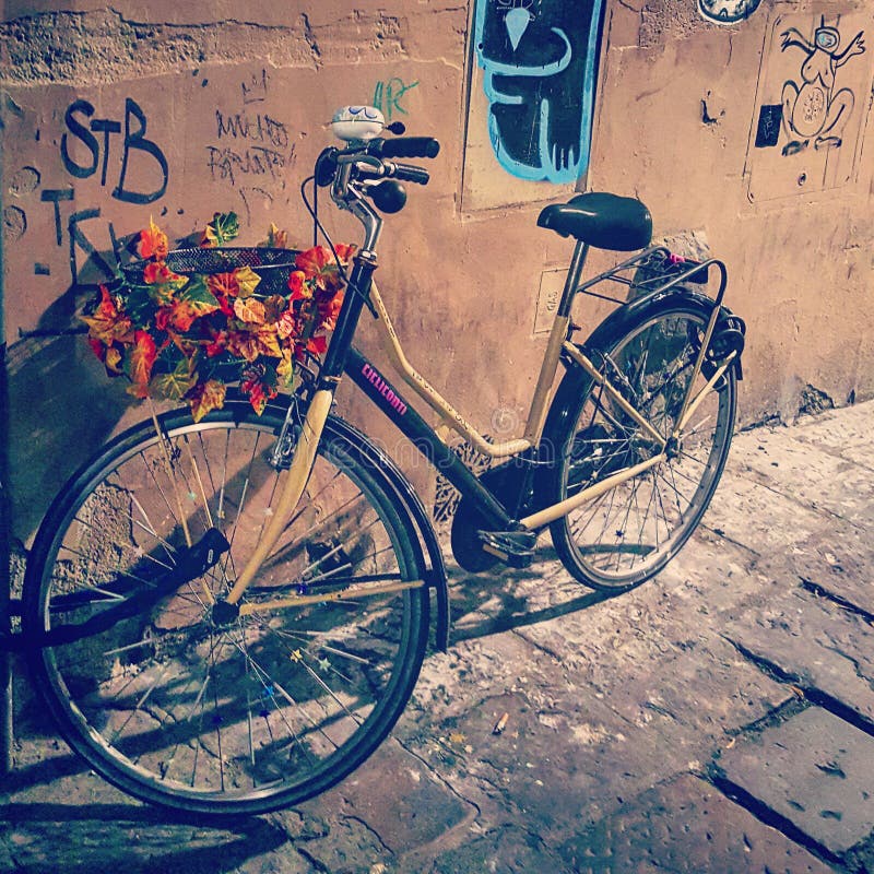 Random Bicycle editorial stock photo. Image of random - 100002493