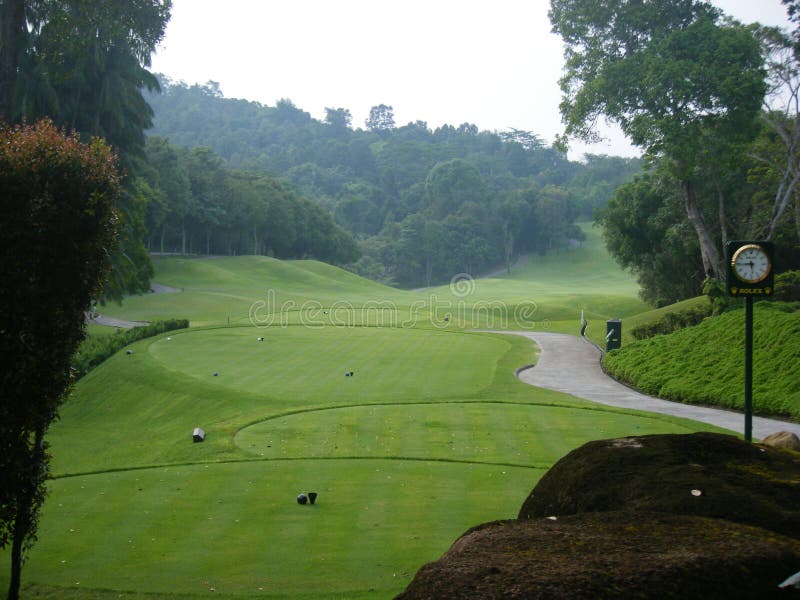 A Golf Ground and a Group of Trees Stock Image - Image of healthy ...