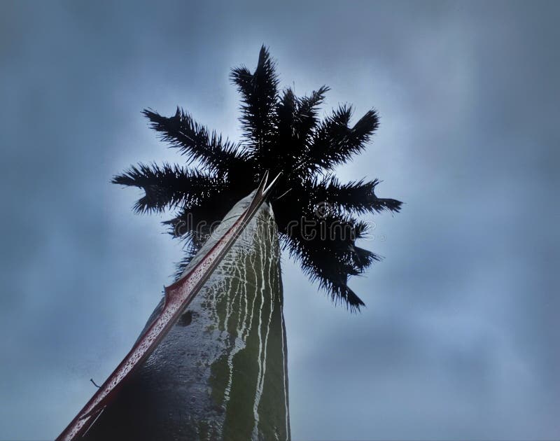 406 Random Click Stock Photos - Free & Royalty-Free Stock Photos from ...