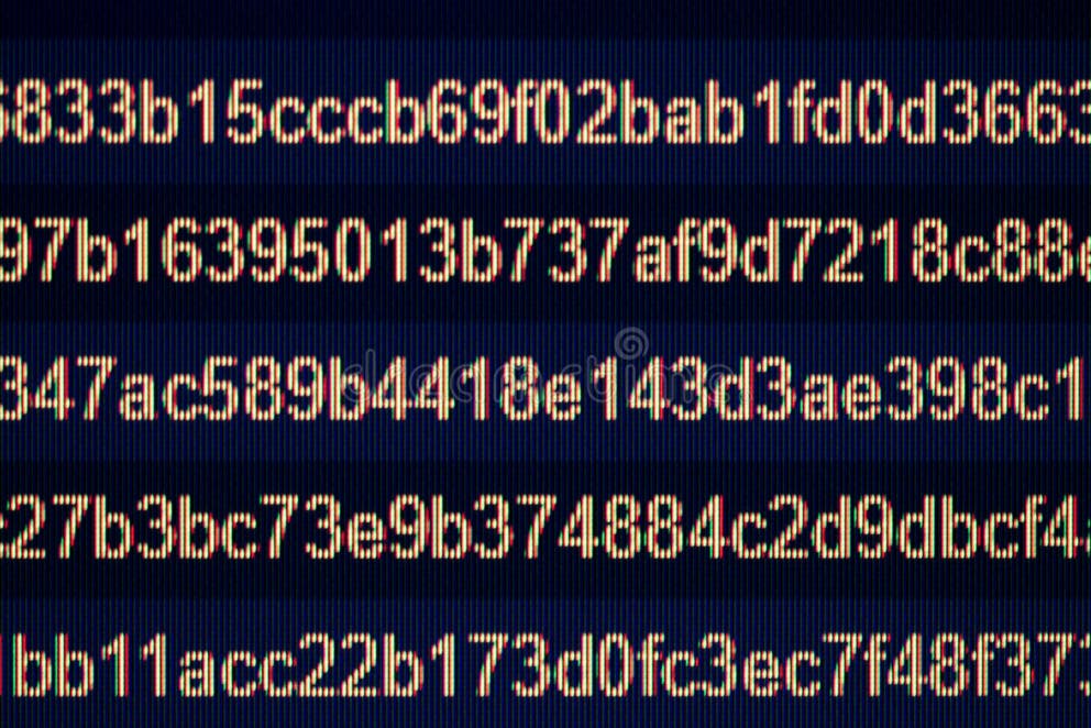 Random computer code stock photo. Image of data, digital - 114806792