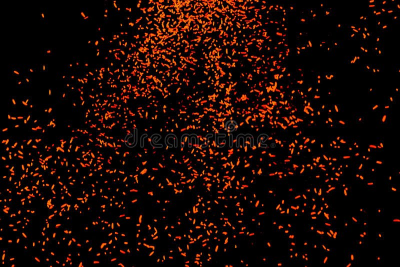 Random Flying Red Orange Color Particles Isolated on the Black ...