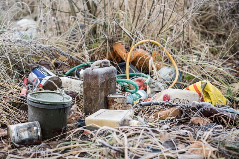 Random Garbage Junk Items Left in Nature, Forest Stock Image - Image of ...