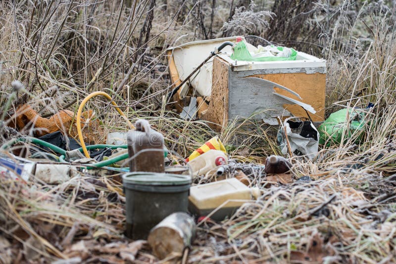 Random Garbage Junk Items Left in Nature, Forest Stock Photo - Image of ...