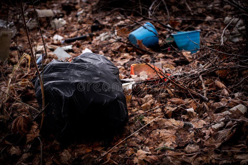 Random Garbage Junk Items Left in Nature, Forest Stock Image - Image of ...