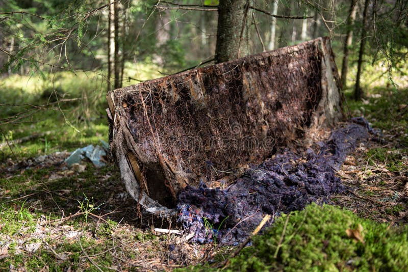 Random Garbage Junk Items Left in Nature and Forests. an Old, Broken ...