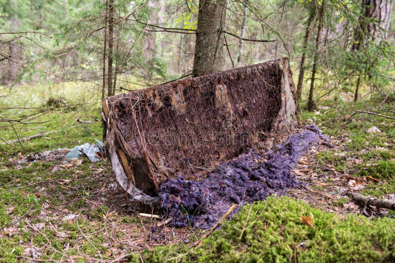 Random Garbage Junk Items Left in Nature and Forests. an Old, Broken ...