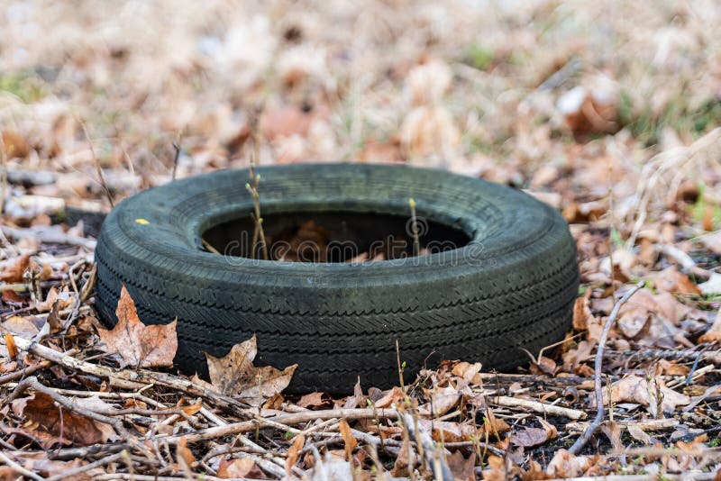 Random Garbage Junk Items Left in Nature and Forests. Old Tire Stock ...