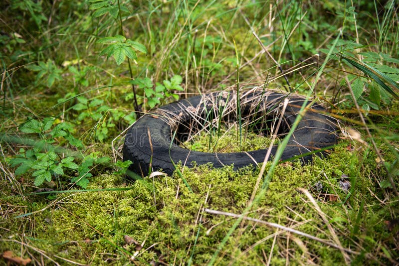 Random Garbage Junk Items Left in Nature and Forests. Old Tyre Stock ...