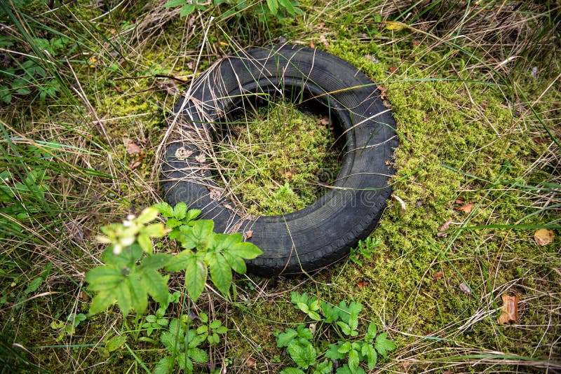 Random Garbage Junk Items Left in Nature Trails after Tourists Stock ...