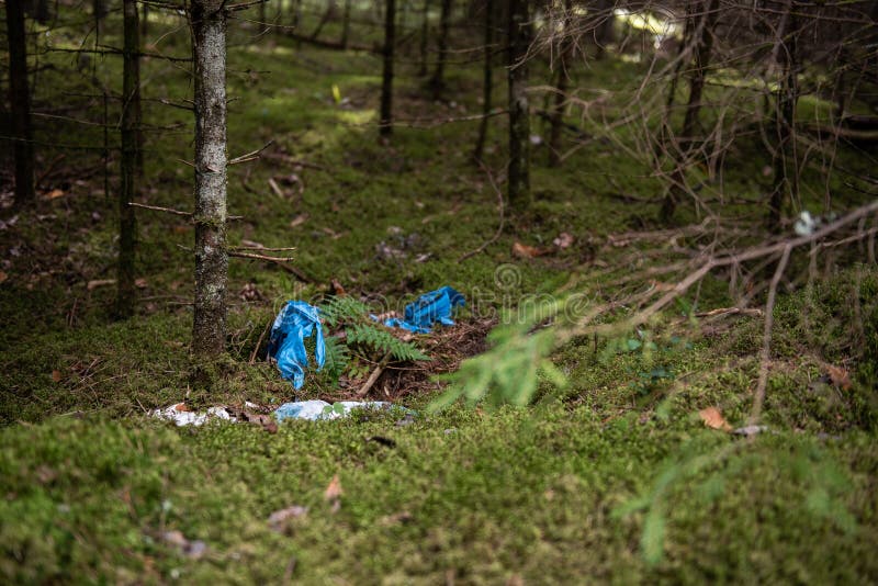 Random Garbage Junk Items Left in Nature Trails after Tourists Stock ...