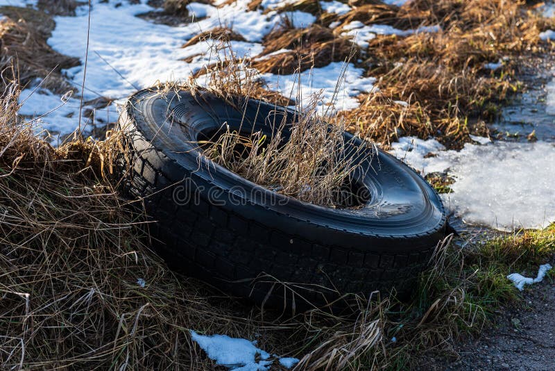 Random Garbage Junk Items Left in Nature. Old Tire in Old Grass on ...