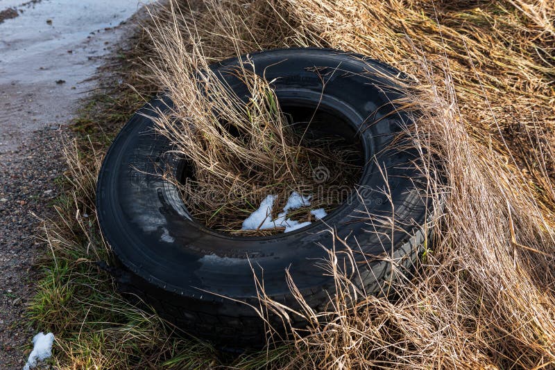 Random Garbage Junk Items Left in Nature. Old Tire in Old Grass on ...