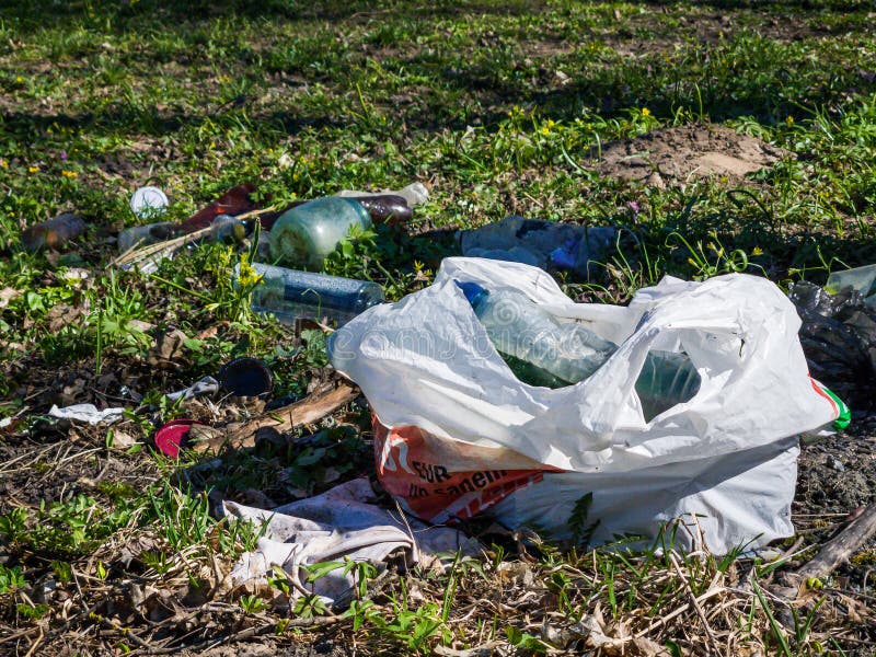 Random Garbage Junk Items Left in Nature, Park, Forest. Sunny Spring ...