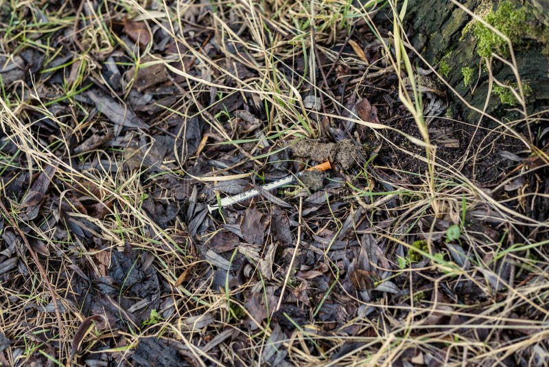 Random Garbage Junk Items Left in Nature Stock Image - Image of mixture ...