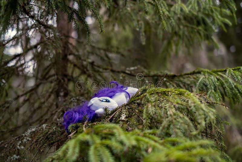 Random Garbage Junk Items Left in Nature Stock Image - Image of trails ...