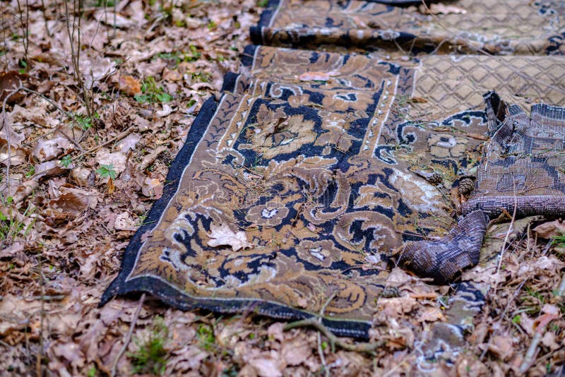 Random Garbage Junk Items Left in Nature Stock Photo - Image of twig ...