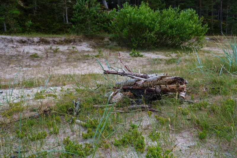 Random Garbage Junk Items Left in Nature Stock Image - Image of twig ...
