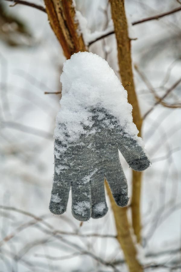 Random Garbage Junk Items Left in Nature Stock Image - Image of ...